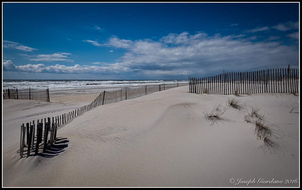 Sand & Surf | The Visual Chronicle