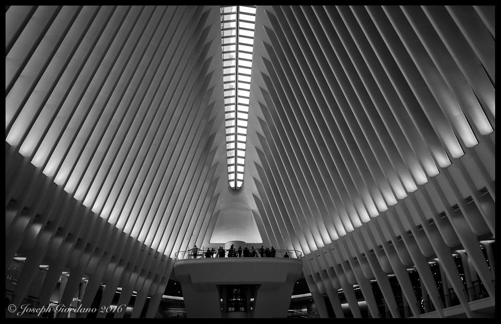 Inside The Oculus | The Visual Chronicle
