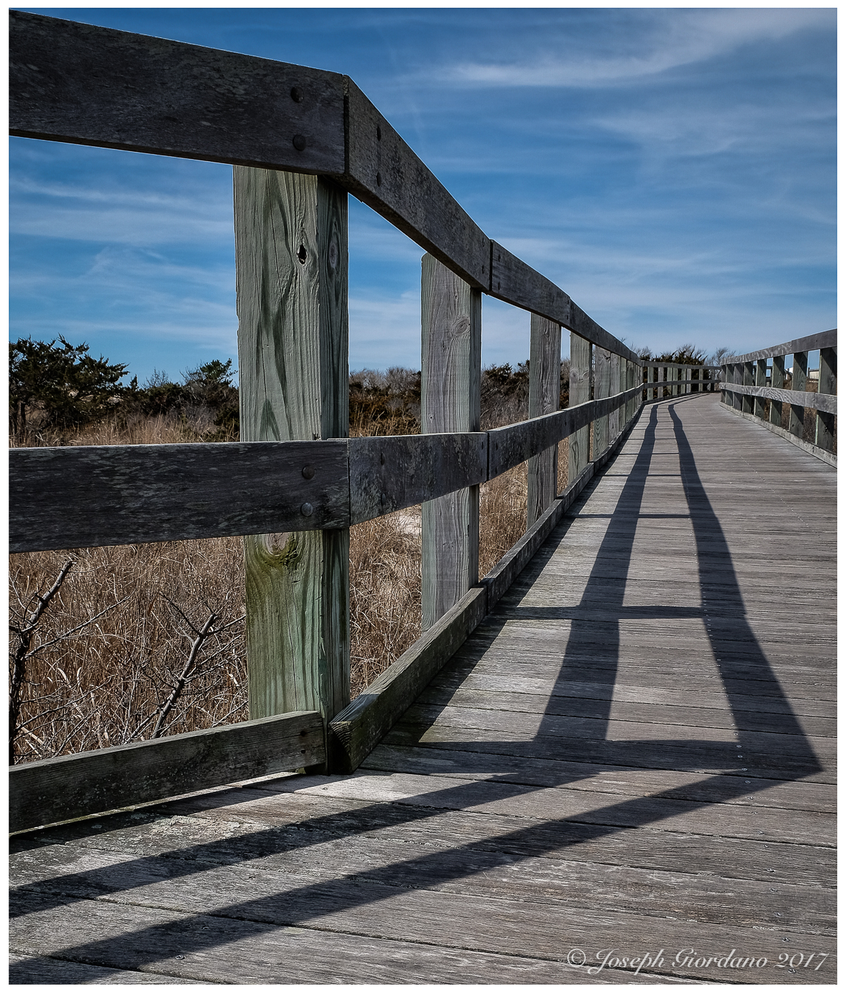A Stroll On The Boardwalk | The Visual Chronicle