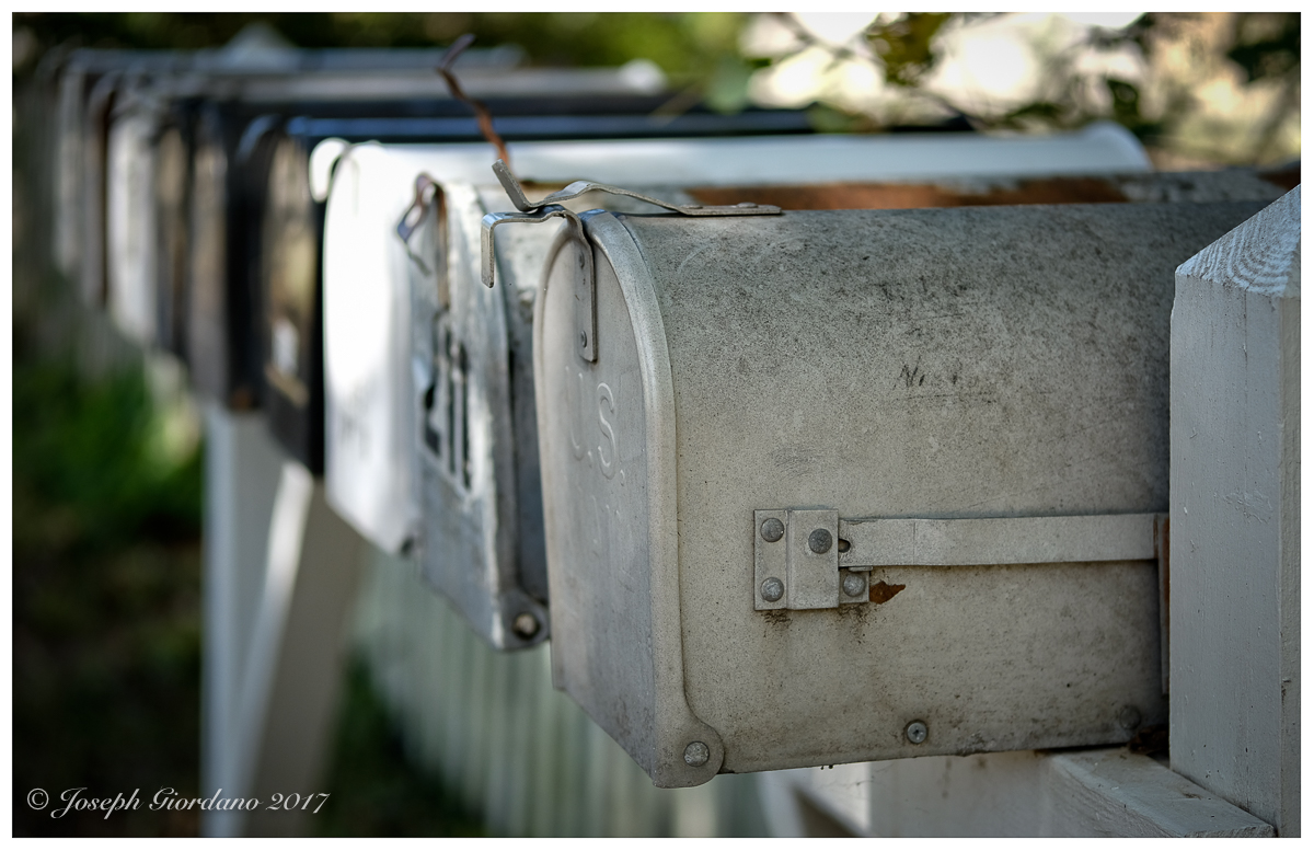 Wait A Minute Mr. Postman | The Visual Chronicle