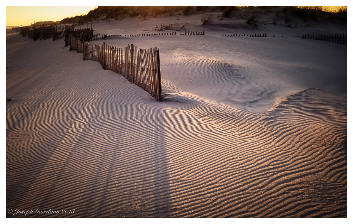 Sand And Shadows | The Visual Chronicle