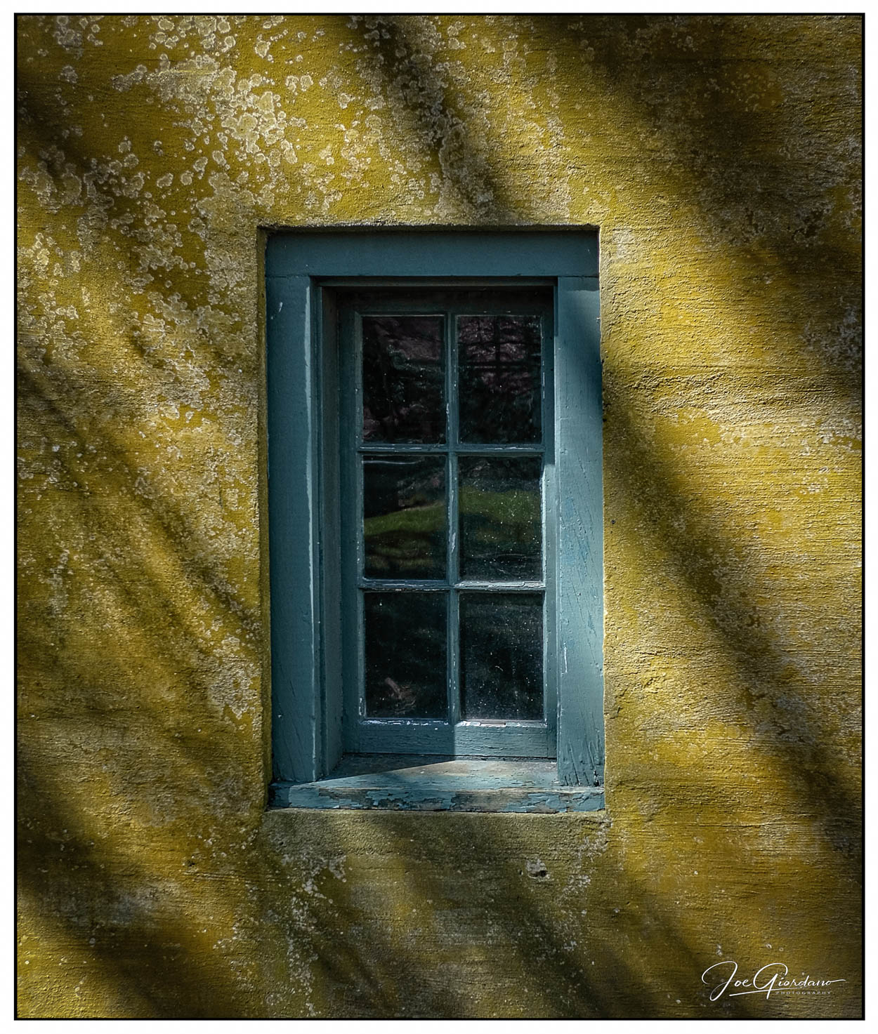 Shaded Textures | The Visual Chronicle