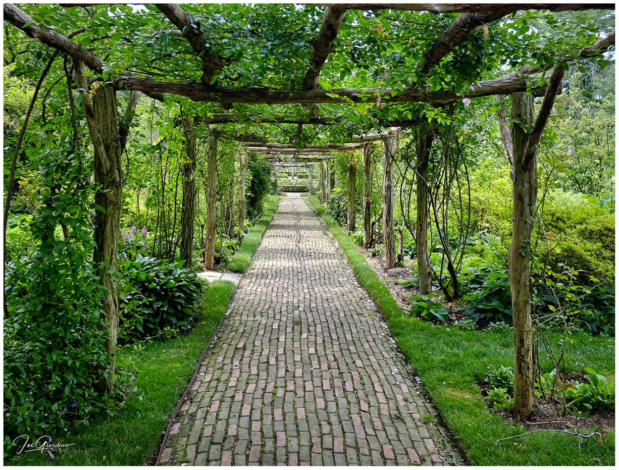 Arbor Walk | The Visual Chronicle