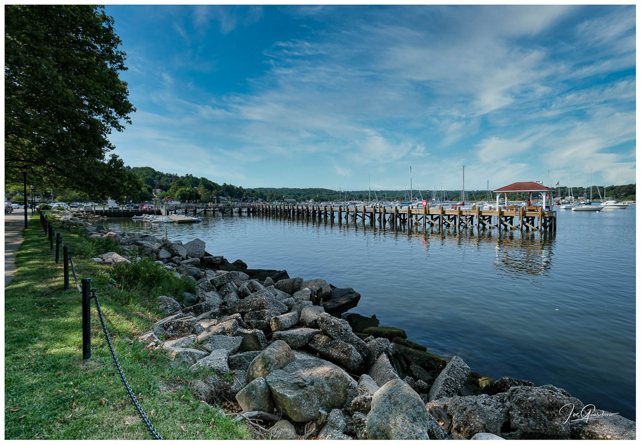 Cow Harbor | The Visual Chronicle